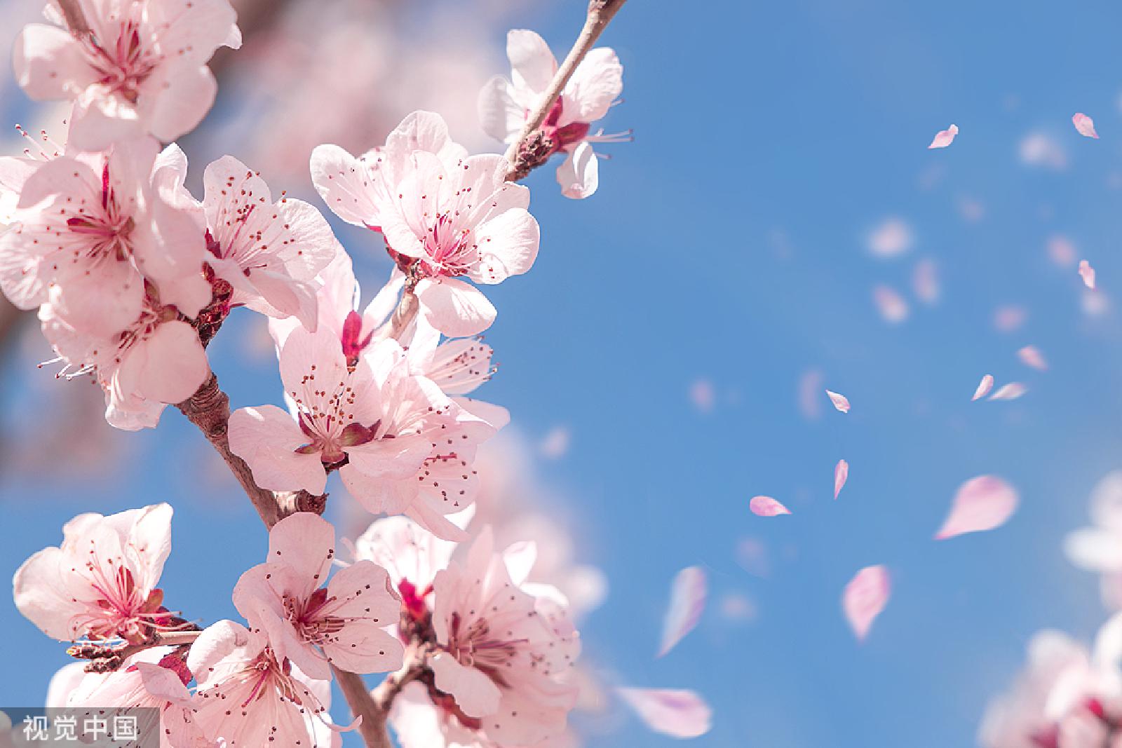 报错解决-git报错